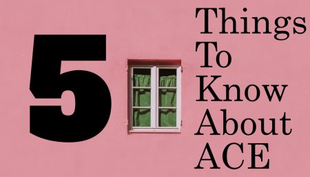 5 Things to Know About ACE | Customs Compliance